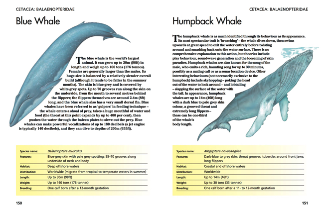 Mammals: Mini Encyclopedia by Chris McNab - Amber Books