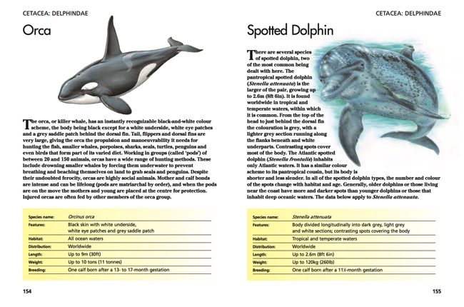 Mammals: Mini Encyclopedia by Chris McNab - Amber Books