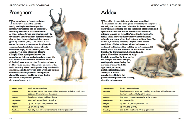 Mammals: Mini Encyclopedia by Chris McNab - Amber Books
