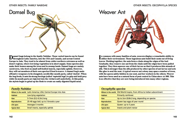 Bugs and Mini Monsters: Mini Encyclopedia - Amber Books