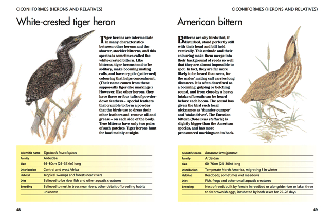 The World of Birds: Mini Encyclopedia - Amber Books