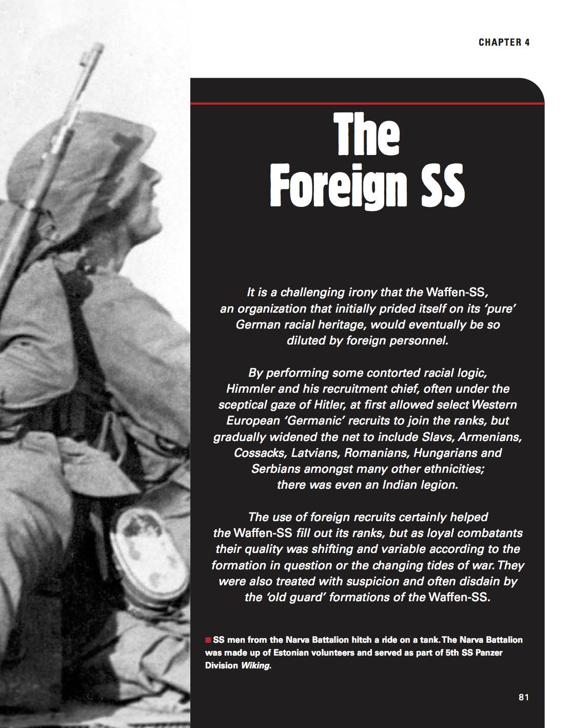 WWII Germany: The SS - Amber Books