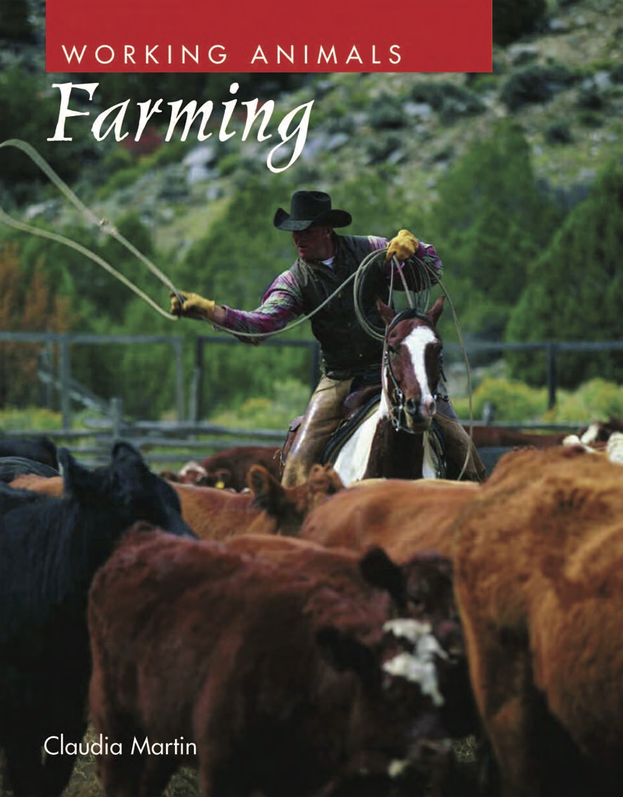 Dinosaurs: The World's Most Terrifying Creatures - Amber Books