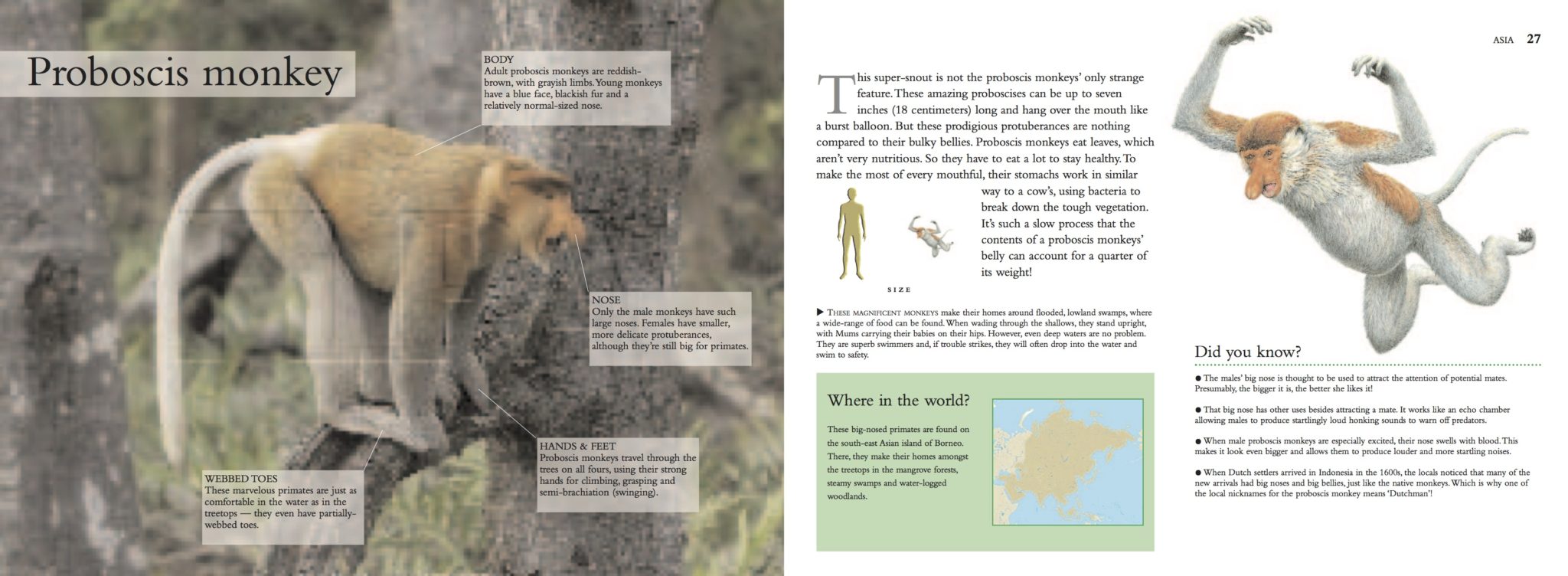 The World's Strangest Animals - Amber Books