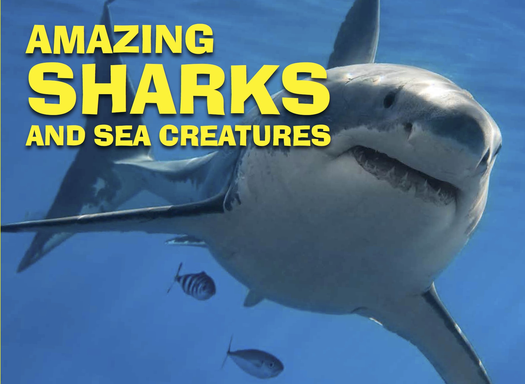 Complete Watercolour Course - Amber Books