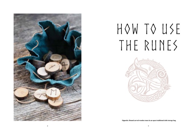 Runes Illustrated [Chinese Bound] - Amber Books